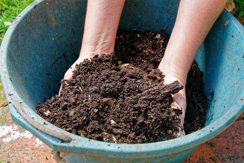 A Bucket of Compost Being Hand Mixed Stock Photo - Image of garden ...