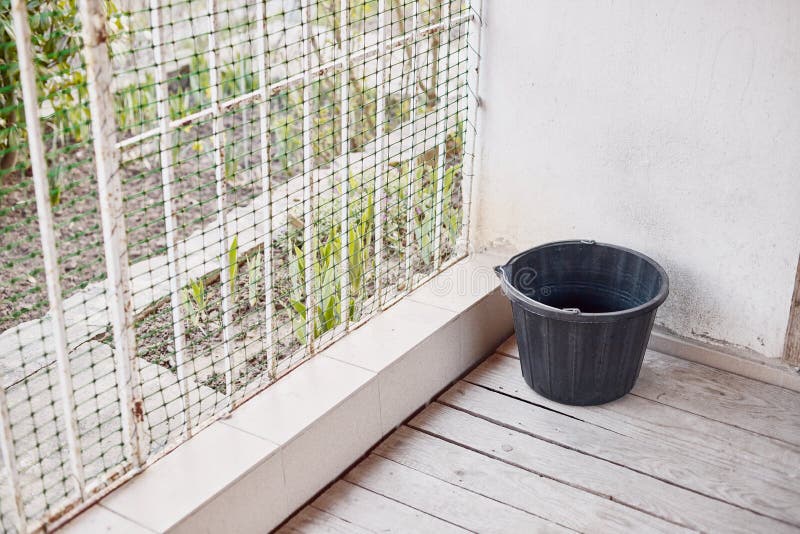 Bucket in an Empty Animal Enclosure Stock Image - Image of concept ...