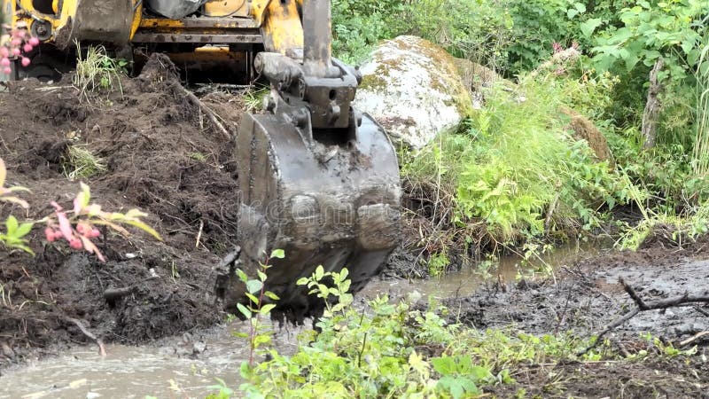 Bucket Excavator Digging Out Earth Close-up Stock Video - Video of ...