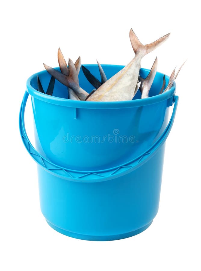 241 Fresh Caught Fish Bucket Photos - Free & Royalty-Free Stock Photos ...