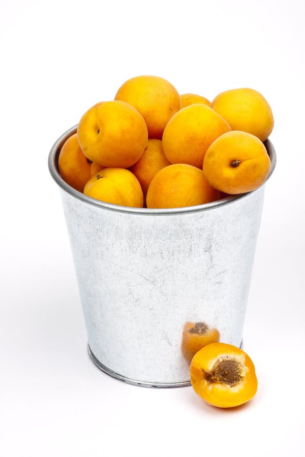 Bucket full of apricots stock photo. Image of diet, snack - 25444686