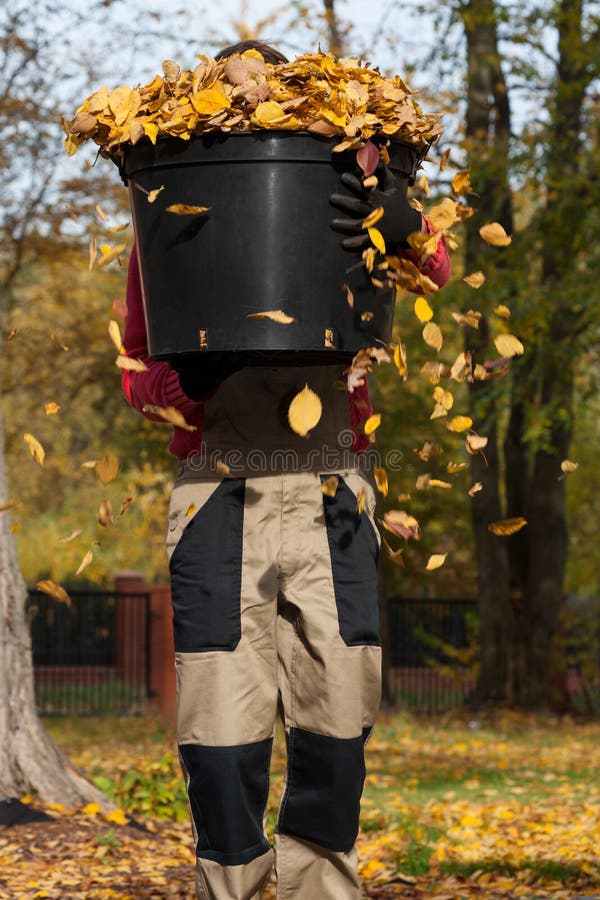 Bucket Full of Autumnal Leaves Stock Image - Image of house, people ...