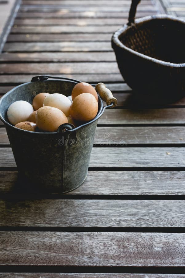Bucket Full of Chicken Eggs and Wicker Basket Stock Image - Image of ...