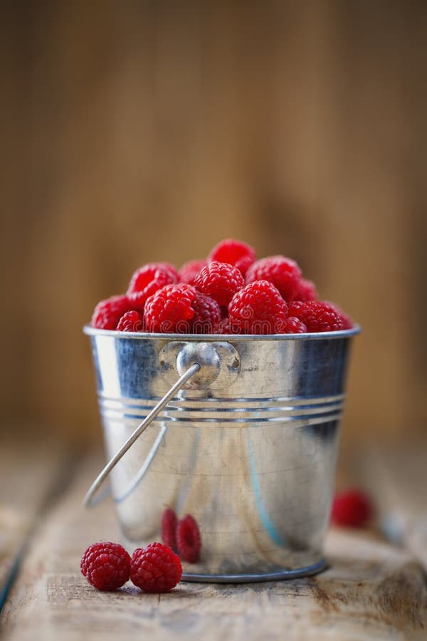 Bucket Full of Freshly Picked Raspberries Stock Image - Image of table ...