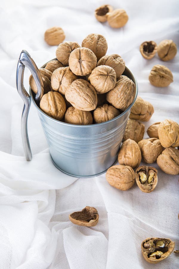 Bucket Full of Walnuts with a Nutcracker on a White Background Stock ...