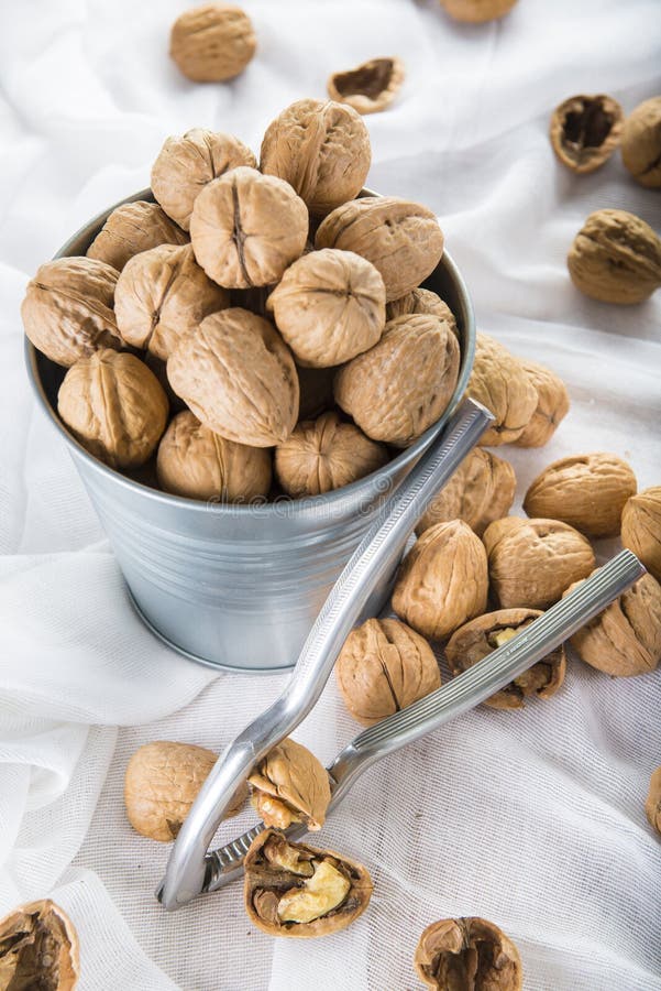 Bucket Full of Walnuts with a Nutcracker on a White Background Stock ...