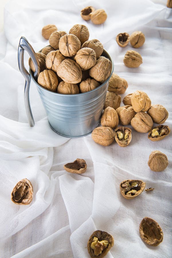 Bucket Full of Walnuts with a Nutcracker on a White Background Stock ...