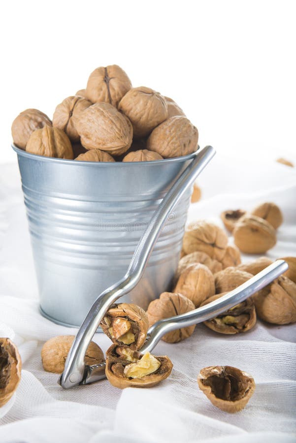 Bucket Full of Walnuts with a Nutcracker on a White Background Stock ...