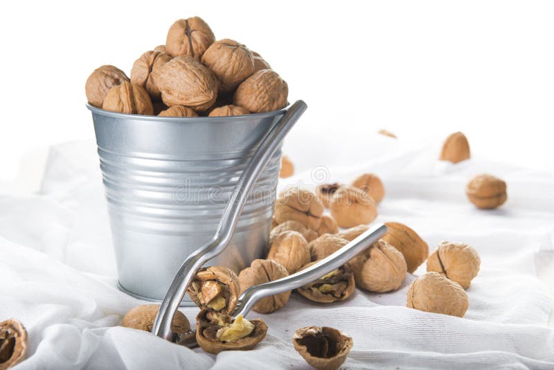 Bucket Full of Walnuts with a Nutcracker on a White Background Stock ...