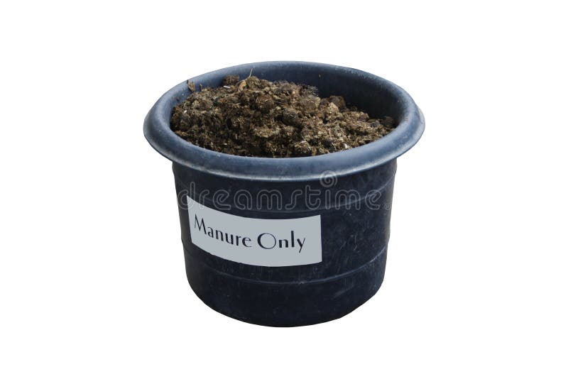 Bucket of horse manure stock photo. Image of details - 15179802