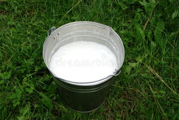 Bucket of milk stock photo. Image of metal, bucketful - 10731292