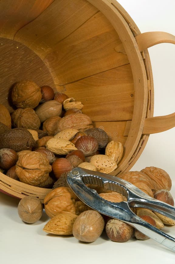 Bucket of Nuts stock photo. Image of brazil, fresh, culinary - 1721864