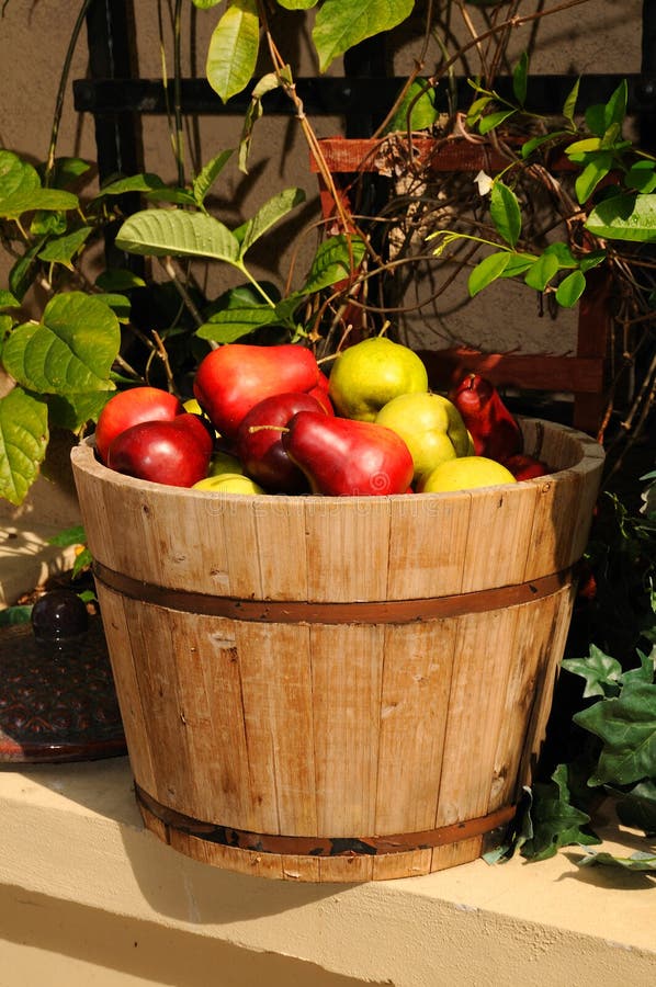 Bucket of Pears stock image. Image of fresh, large, fruit - 9476599