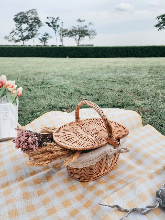 Bucket picnic date stock image. Image of food, pattern - 262149193