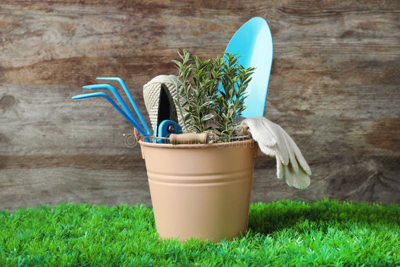 Bucket with Plant and Gardening Tools Stock Photo - Image of artificial ...