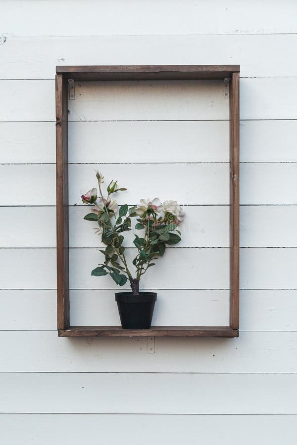 Bucket with Plant on the Shelf Stock Image - Image of traditional ...