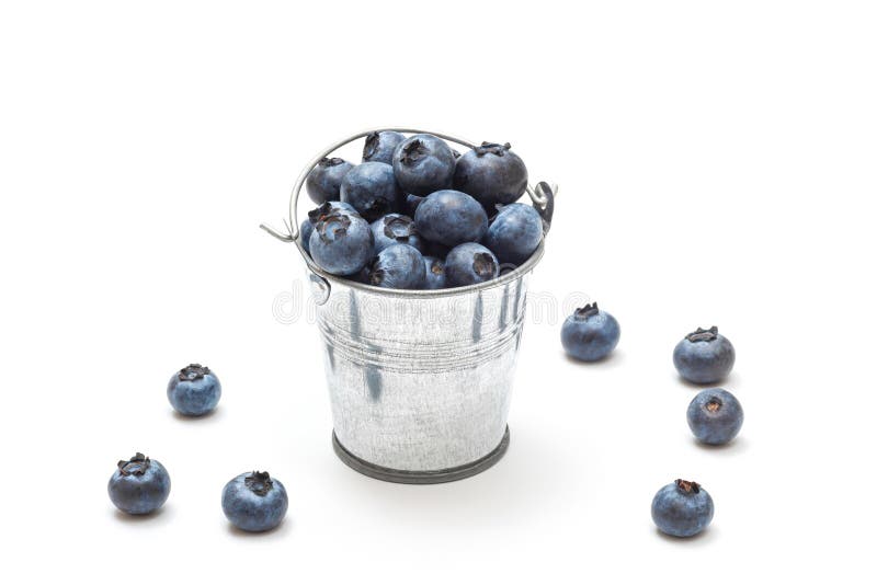 Bucket of Ripe Blueberries on a White Background. Harvest of Fresh ...