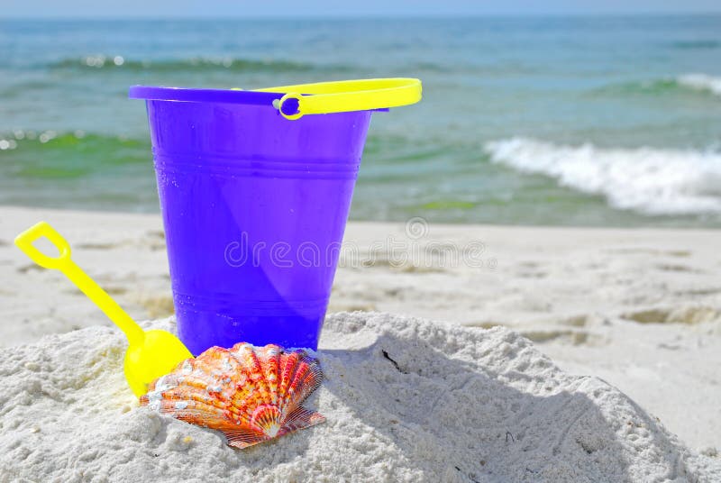 Seashell on Beach Under Palm Stock Image - Image of tidal, gulf: 5622009