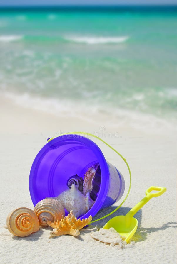 Bucket of seashells stock image. Image of shore, seashell - 6154883