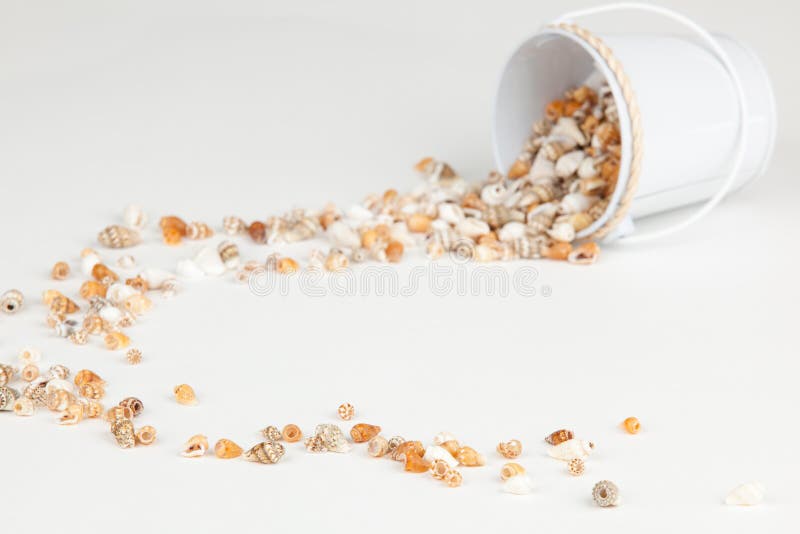Bucket of Shells stock photo. Image of bucket, studio - 14752386