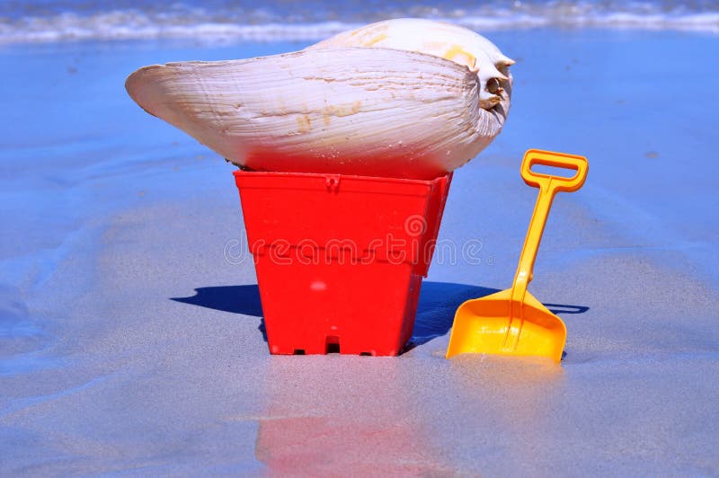 Bucket Spade with Large Cone Shell on Beach Stock Image - Image of ...