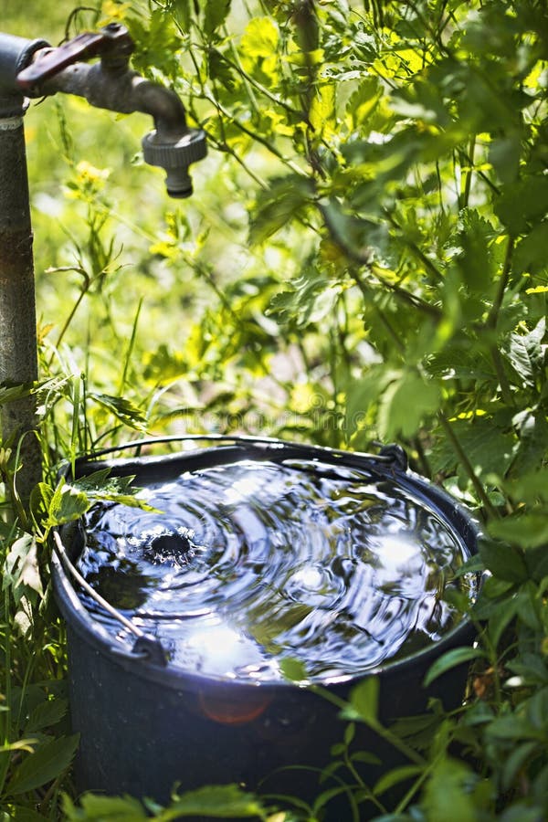Bucket with Water in the Garden Stock Image - Image of village, rays ...