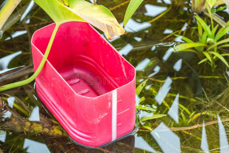Bucket in Water Plant Pond stock image. Image of sunlight - 74133171