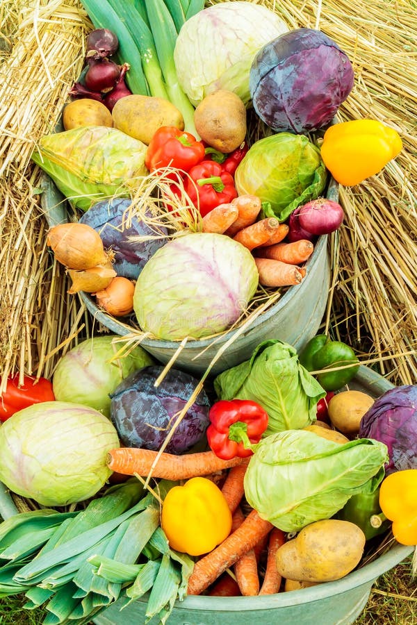 Buckets with Organic Fresh Vegetables Stock Image - Image of produce ...