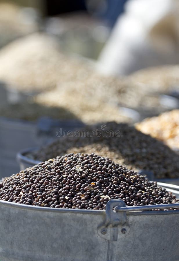 Buckets of seeds. stock image. Image of maize, healthy - 31144371