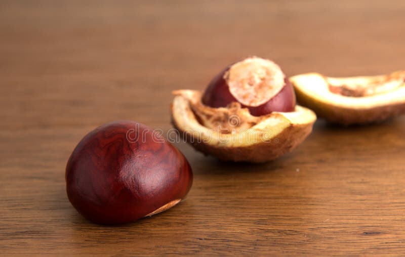 Buckeye Chestnut and Conker in Shell on Wood Stock Image - Image of ...