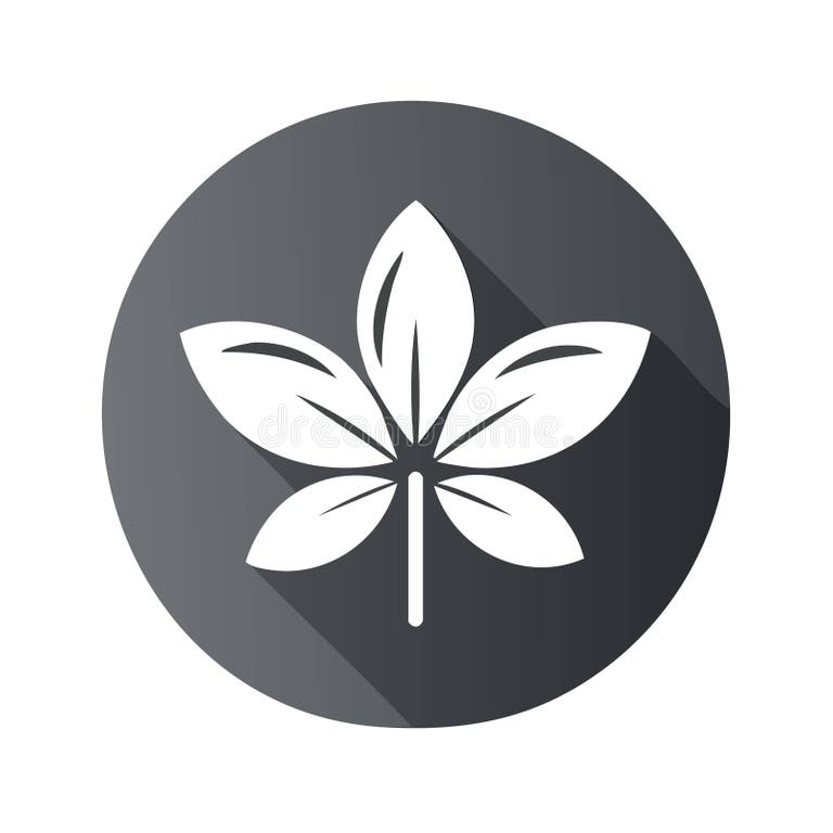 Buckeye Leaf Ai Stock Illustrations – 49 Buckeye Leaf Ai Stock ...