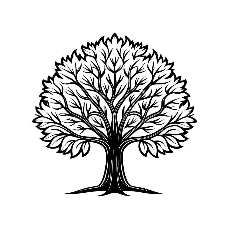 Buckeye Tree Design with Bold Outline Stock Illustration - Illustration ...