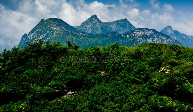 MIDDLE EAST SYRIA HAMA APAMEA RUINS Editorial Photo - Image of landmark ...