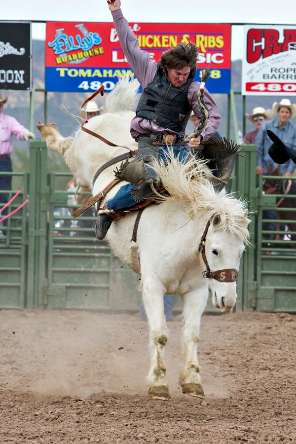 Rodeo Bucking Bronc Rider editorial image. Image of dangerous - 20951155