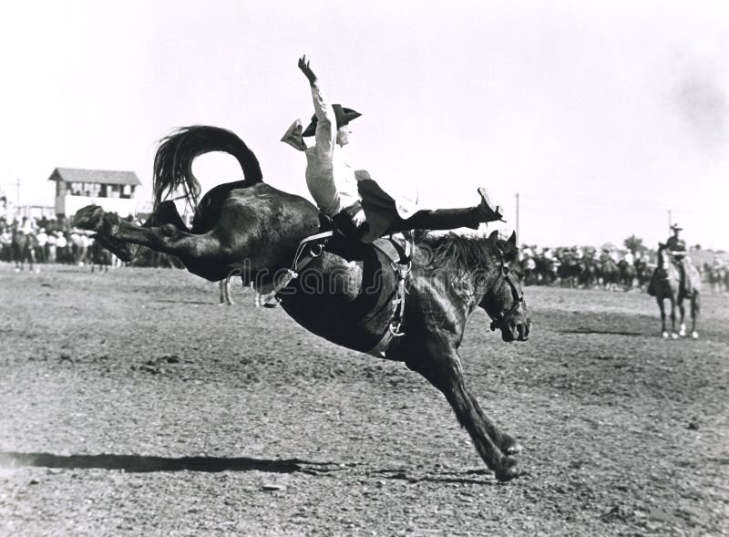 Bucking the trend stock image. Image of determination - 59792155