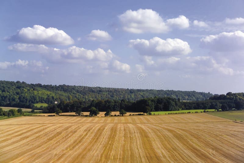 The Ridgeway Path through Bluebell Wood Pitstone Hill the Chilterns ...