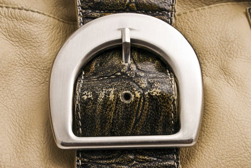 Buckle stock image. Image of leather, secure, close, lock - 12015793