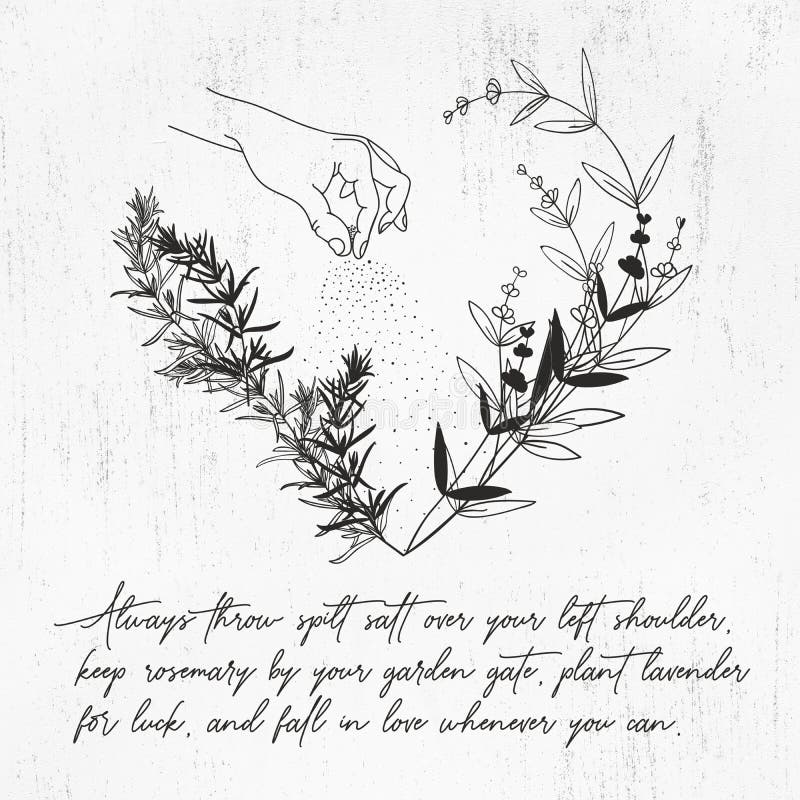 Practical Magic Stock Illustrations – 87 Practical Magic Stock ...