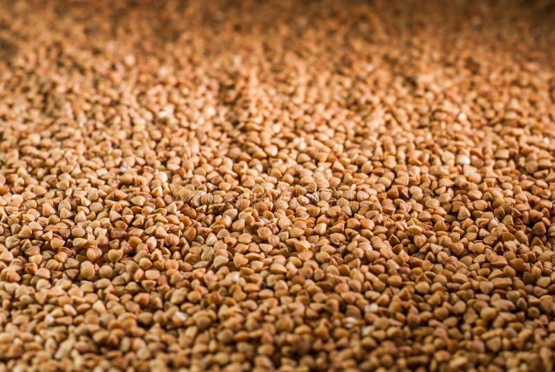 Buckwheat stock photo. Image of meal, texture, tasty - 90249196