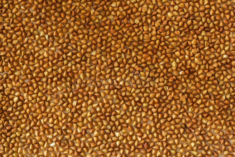 Buckwheat stock photo. Image of dinner, diet, abstract - 50463054