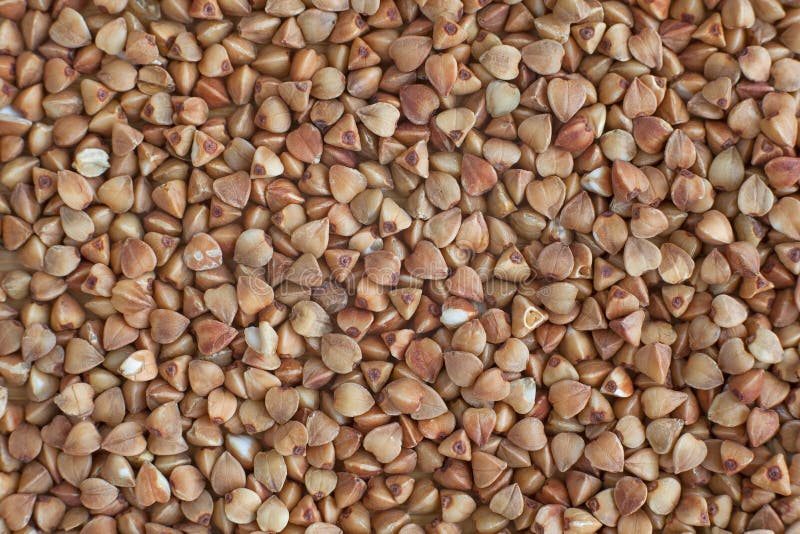 Buckwheat grain stock image. Image of seed, brown, organic - 49506371