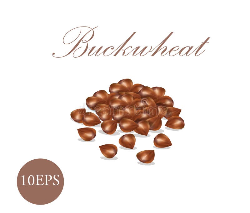 Buckwheat Grain Icons Isolated on White Background. Stock Vector ...