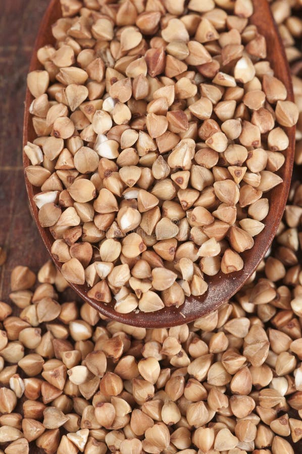 Buckwheat grain kasha stock photo. Image of ingredient - 43171086