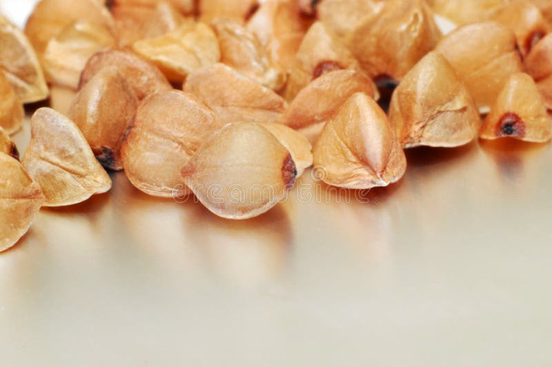 Buckwheat grains stock photo. Image of nature, eating - 19015872