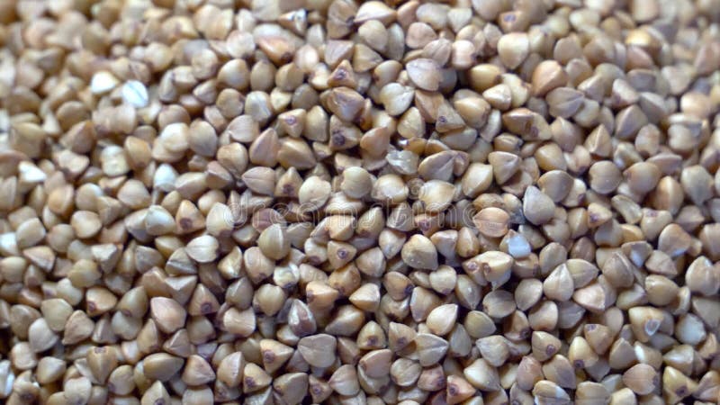 Buckwheat Grains Piled Together, Revealing Their Textured Outer Shells ...