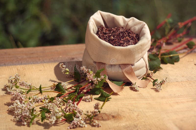 Grains and ears of wheat stock image. Image of grain - 25858561