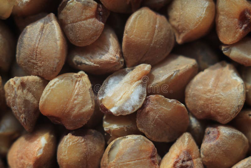 Buckwheat stock image. Image of macro, buckwheat, food - 86081479