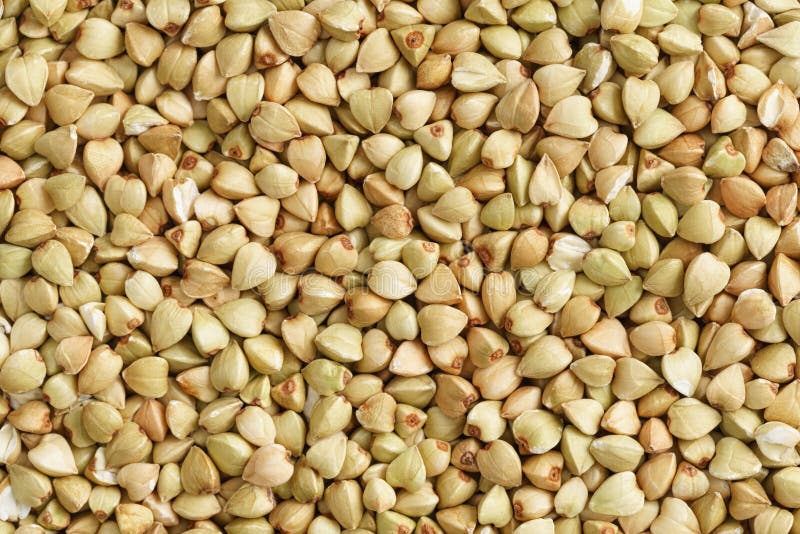 Buckwheat seeds stock image. Image of food, close, macro - 59499599