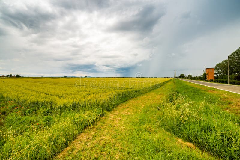 Bucolic landscape stock photo. Image of field, green - 73370820
