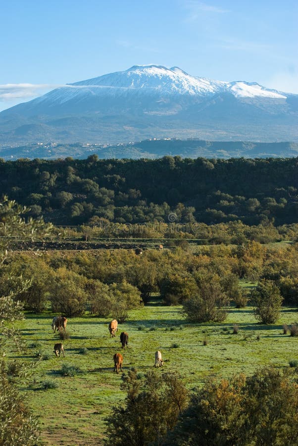 Bucolic Landscape and Volcano Etna Stock Image - Image of highland ...